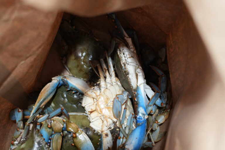 Seafood Boil - Mr Make It Happen